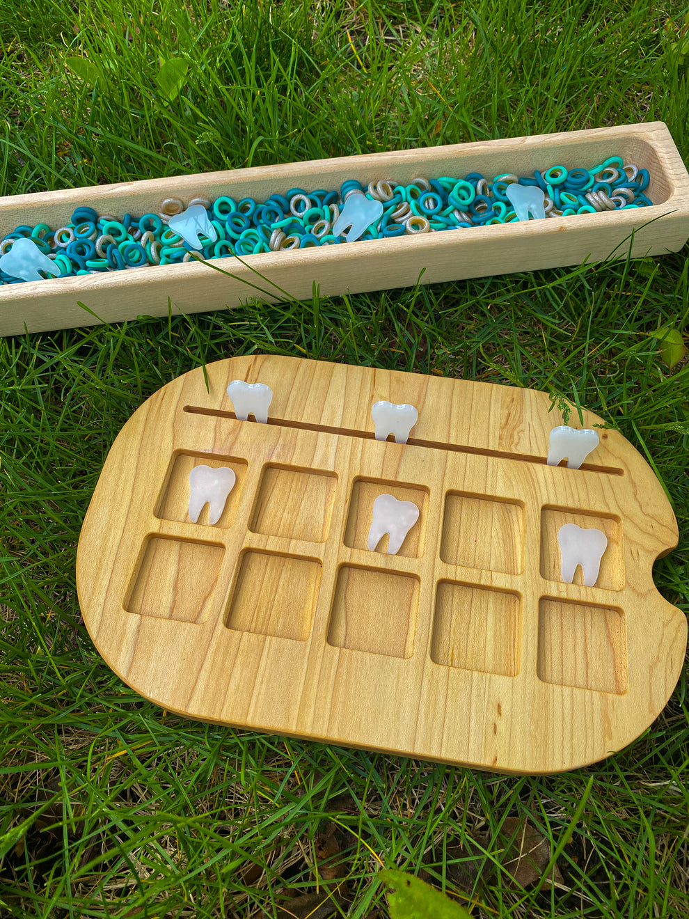 Acrylic Tooth Counters – ButtonandBug