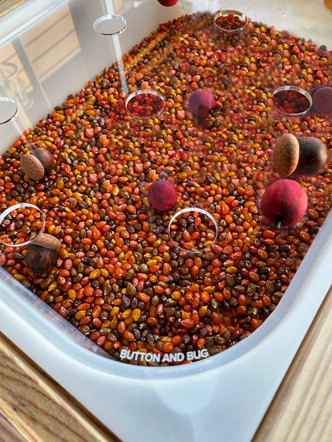 FLISAT Inserts – ButtonandBug